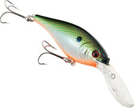 Flicker Shad Color Guide – THE NEXT BITE TV