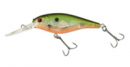 Flicker Shad Color Guide – THE NEXT BITE TV