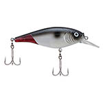 Flicker Shad Shallow Color Guide – THE NEXT BITE TV