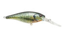 Flicker Shad Color Guide – THE NEXT BITE TV