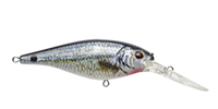 Flicker Shad Color Guide – THE NEXT BITE TV